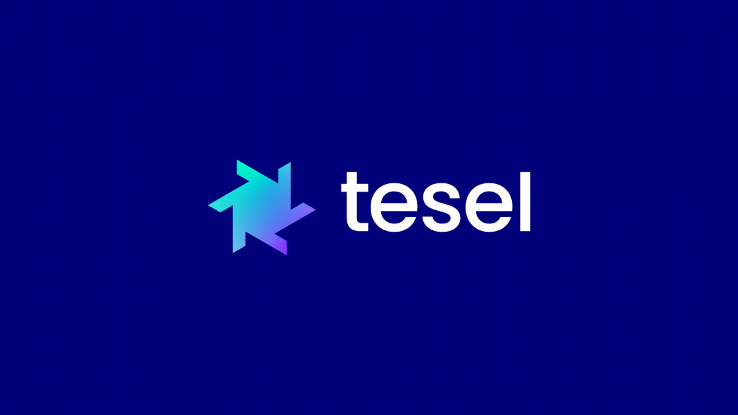 Tesel | Branding Design | Deuce Studio